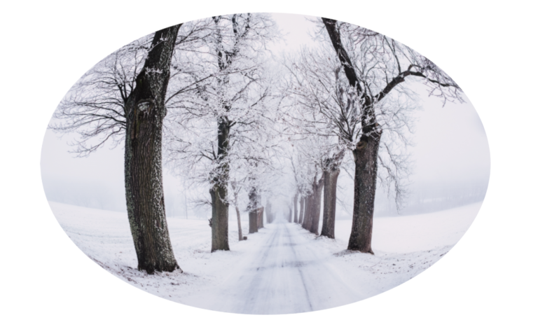 How to Wrap an Image Around an Object in Adobe Illustrator