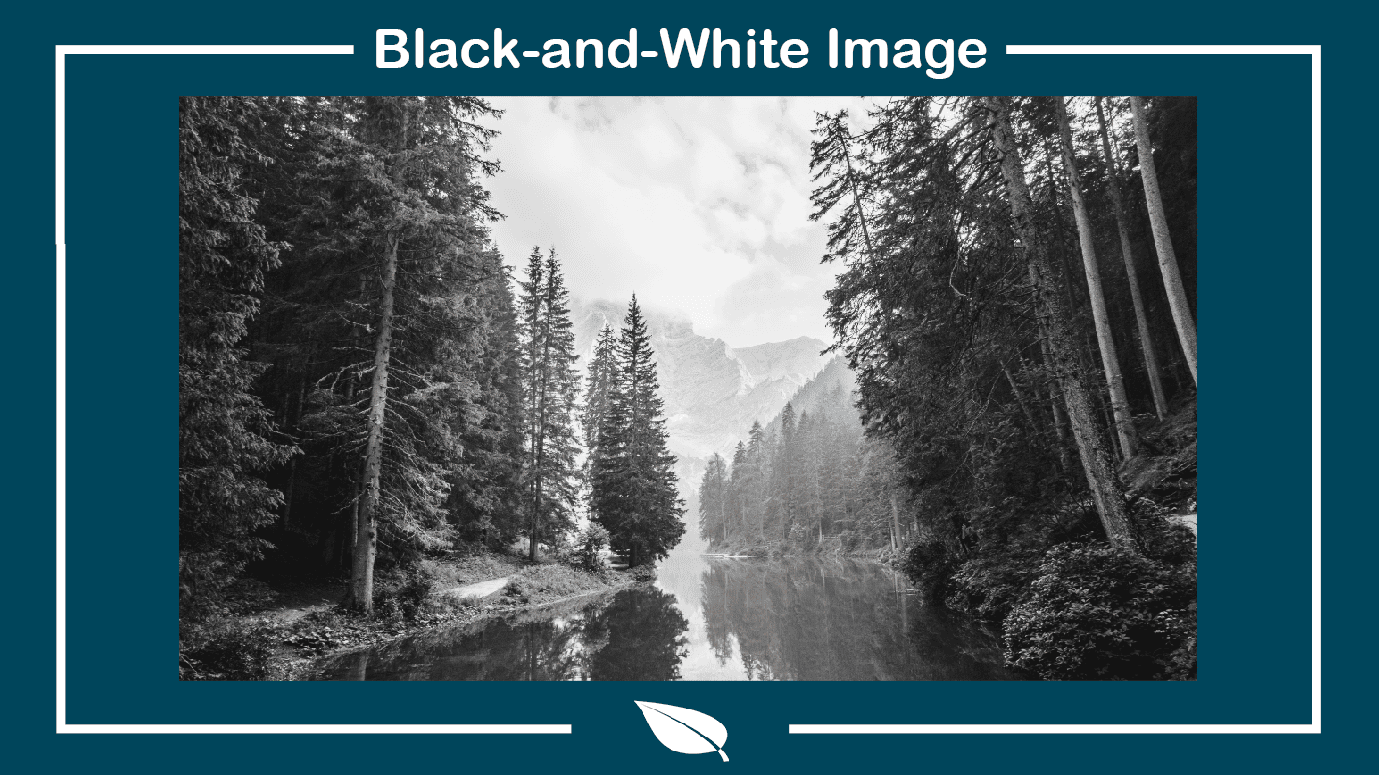 How to Make an Image Black and White in Adobe InDesign