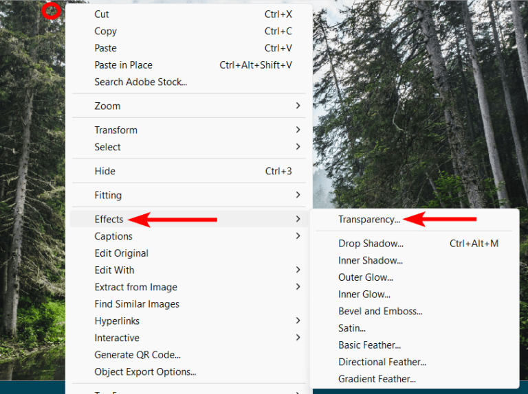 How to Make an Image Black and White in Adobe InDesign