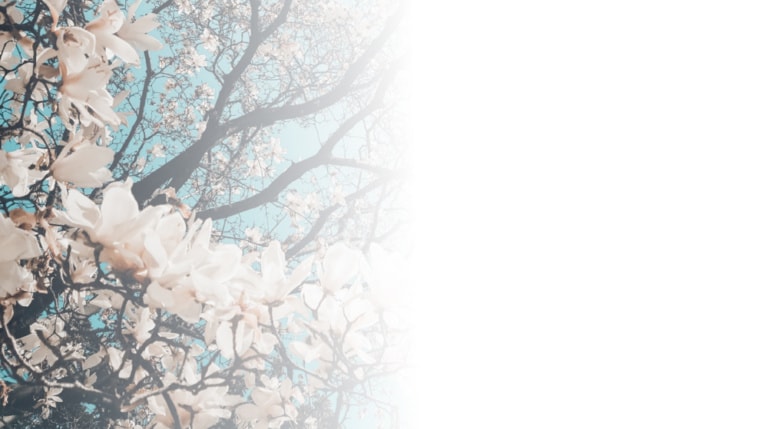 How to Create a Transparent Gradient in Adobe InDesign