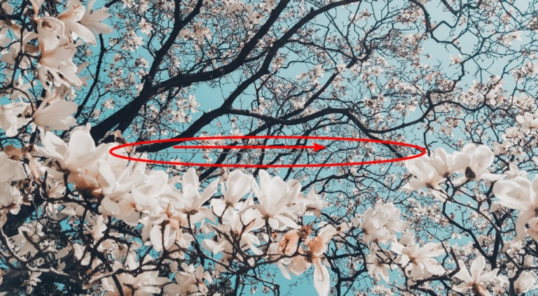 How to Create a Transparent Gradient in Adobe InDesign
