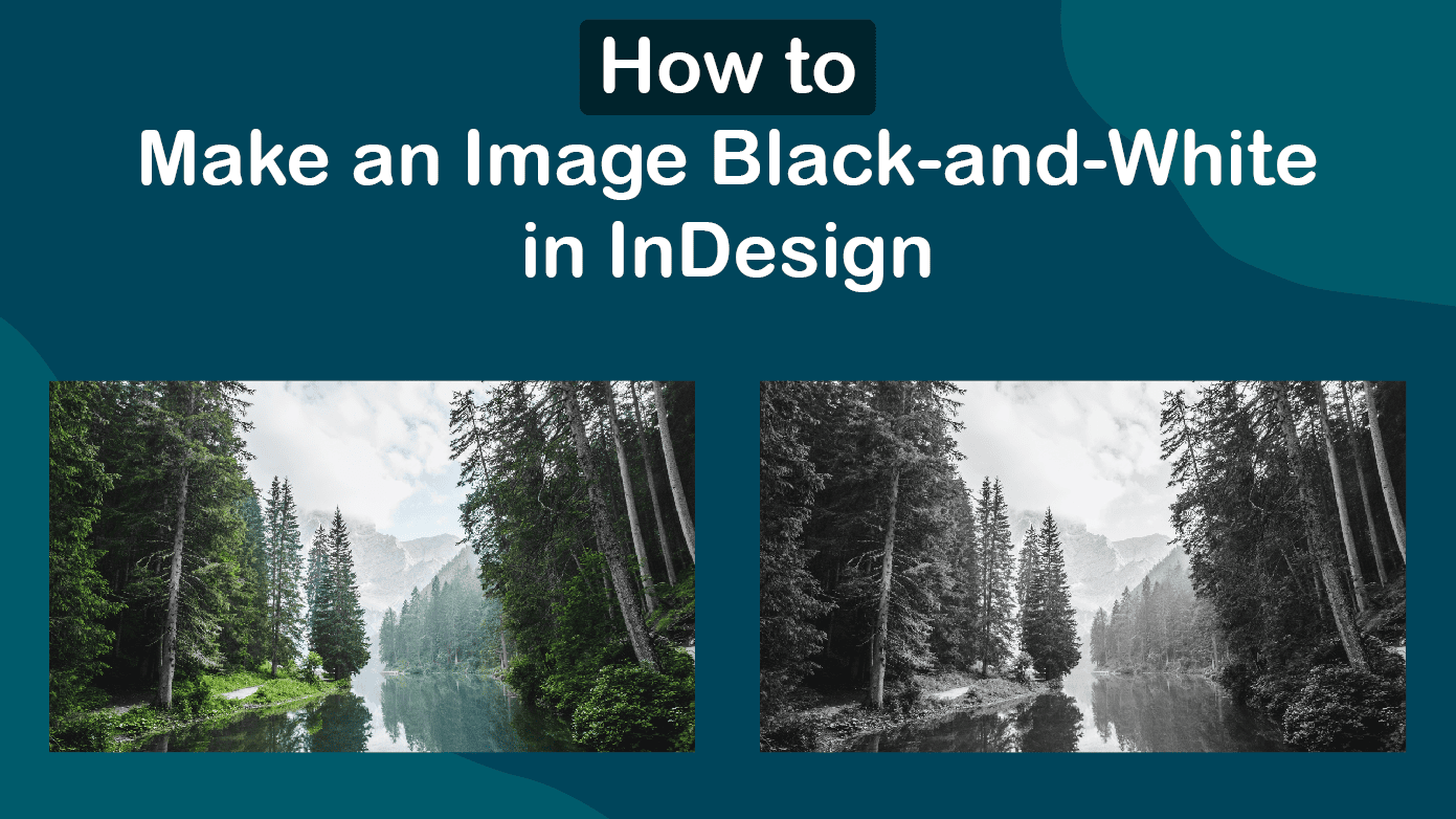 How to Make an Image Black and White in Adobe InDesign