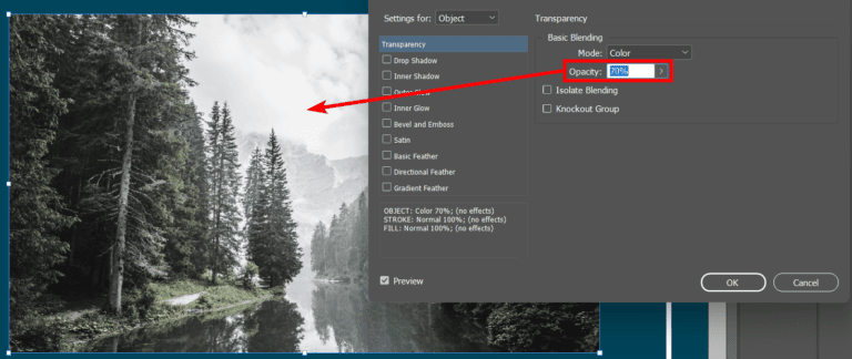 How to Make an Image Black and White in Adobe InDesign