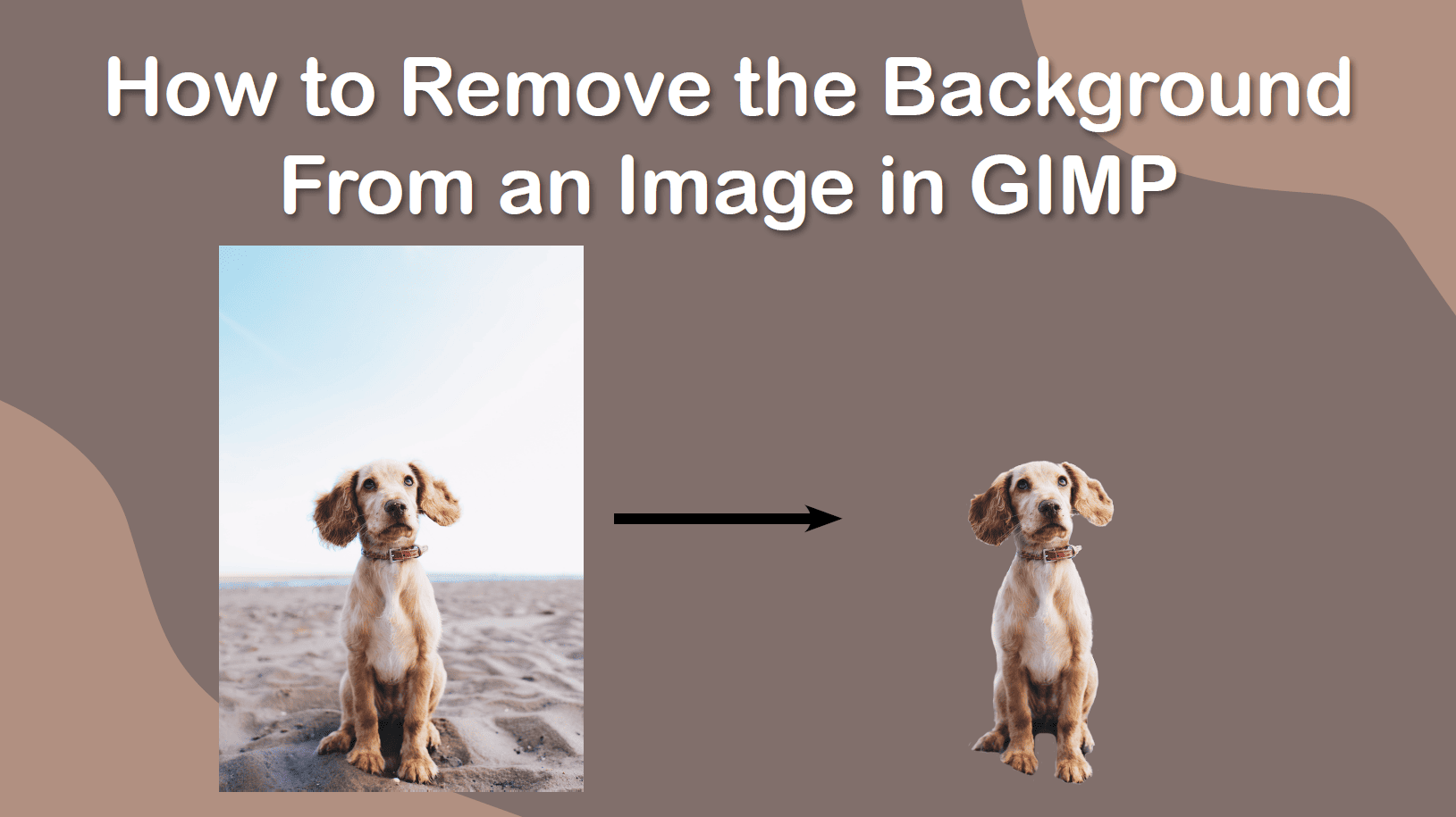 How to Remove the Background From an Image in GIMP