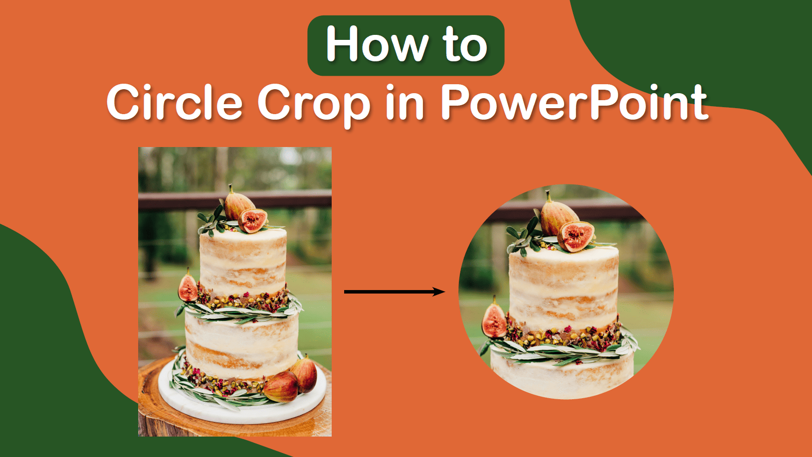 How to Circle Crop in PowerPoint - imagy