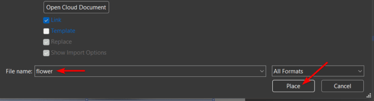 How to Embed Images in Illustrator - imagy